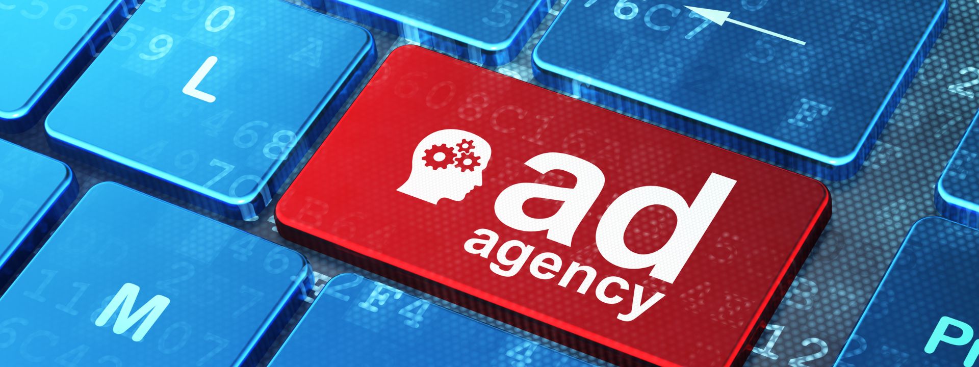 Why Paradox Studios TT is the Only Advertising Agency in Trinidad and ...
